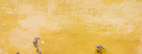 Novel Health – A fresh start to your health care