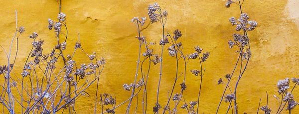 Novel Health – A fresh start to your health care