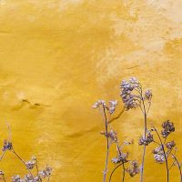 Novel Health – A fresh start to your health care